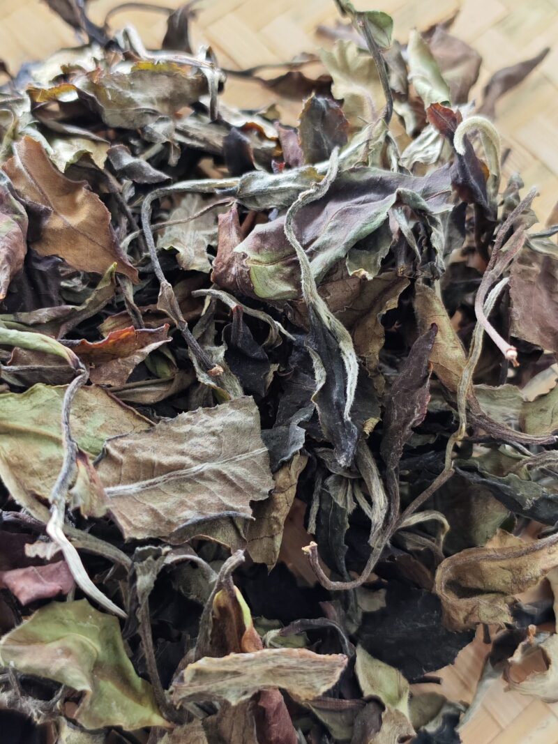 Yunnan Ancient Tree White Tea - Chinese Tea